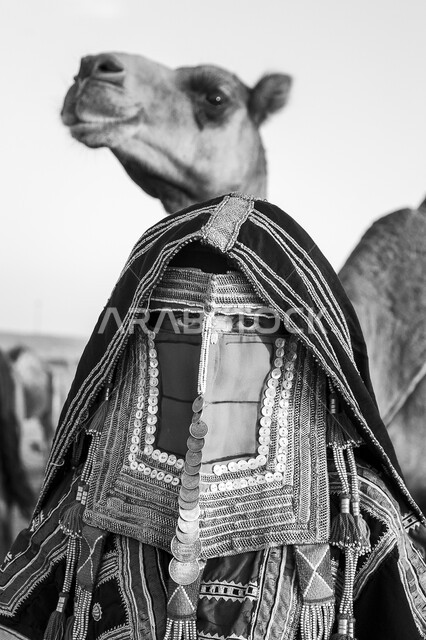 Covering and covering the face, wearing the traditional burqa, a Saudi ...