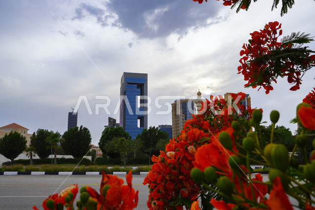 Towers and skyscrapers in the city of Khobar, paved roads and streets ...