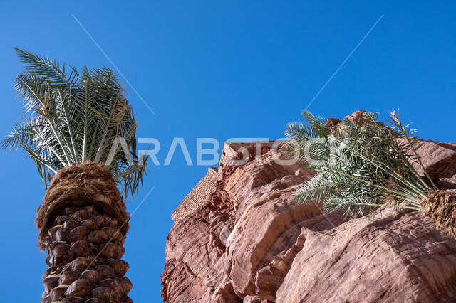 Green palm trees, ancient historical monuments, mountain peaks and ...