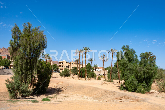 Trees and green plants in Al-Ula Governorate in the Kingdom of Saudi ...