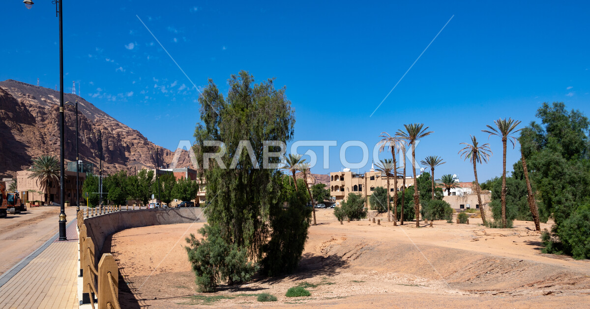 Mountain peaks and heights, trees and green plants in Al-Ula ...