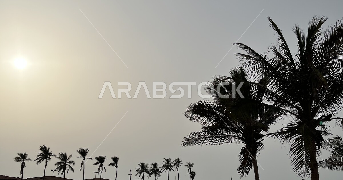 Jeddah Corniche at sunset, the shore of the Red Sea in the city of ...