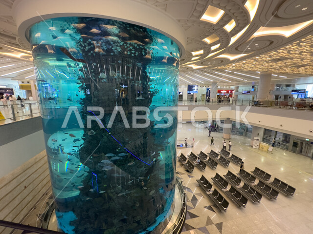 A close-up of the largest aquarium in the world at Jeddah International ...