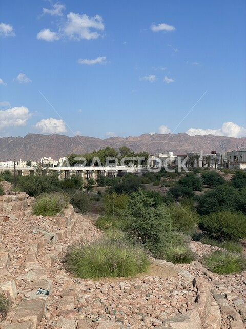 Mountains and green nature in Medina, topography of the Kingdom of ...