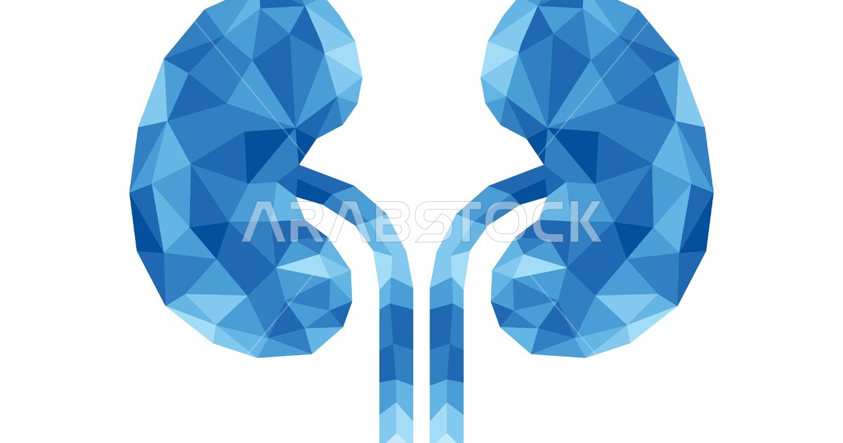 Colorful geometric polygonal kidney vector logo, ready-made design ...