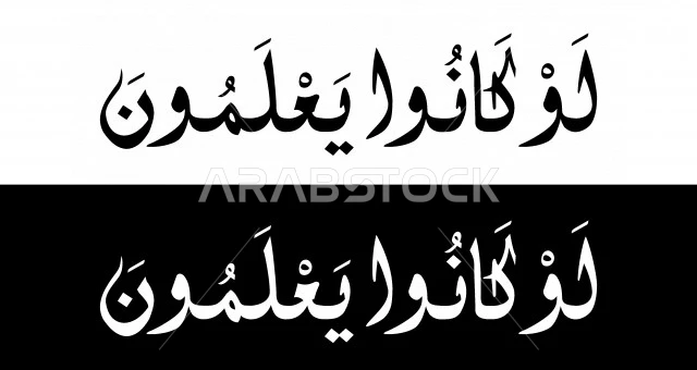 Vector Arabic manuscript, Diwani calligraphy, if they knew, Islamic ...