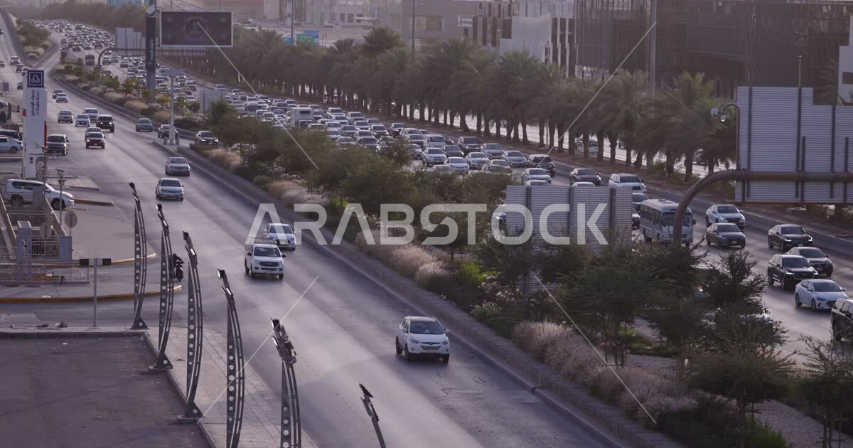 Car traffic line in Riyadh, Saudi Arabia, car traffic, green palm trees ...