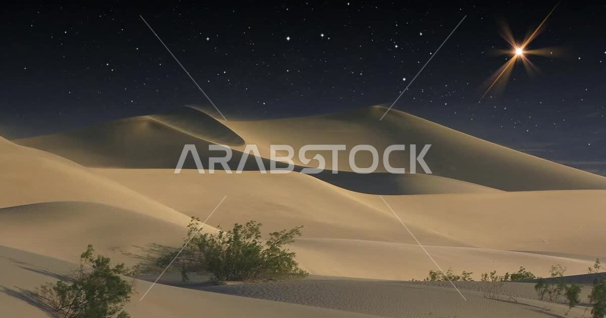 Green trees and plants in the desert at night, bright stars in the sky ...