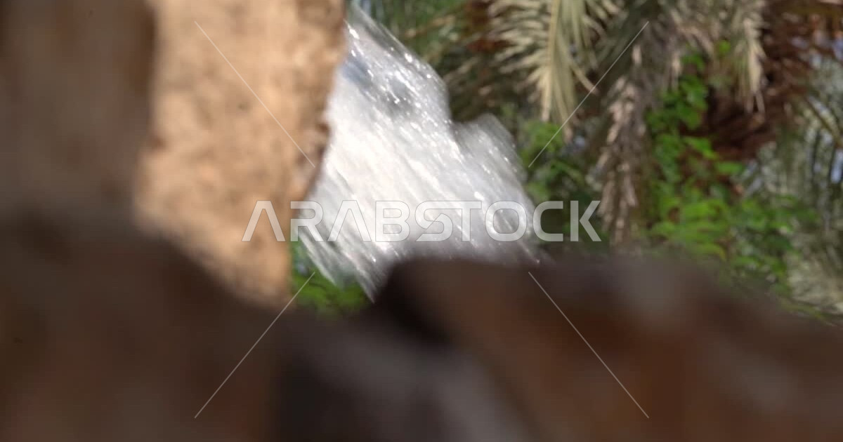 Crops and agricultural lands in the Kingdom of Saudi Arabia, green palm ...