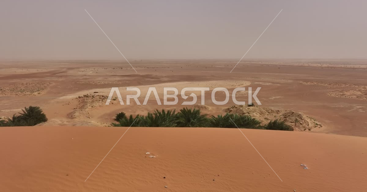 Soft sand dunes, a pool of water surrounded by green palm trees, drone ...