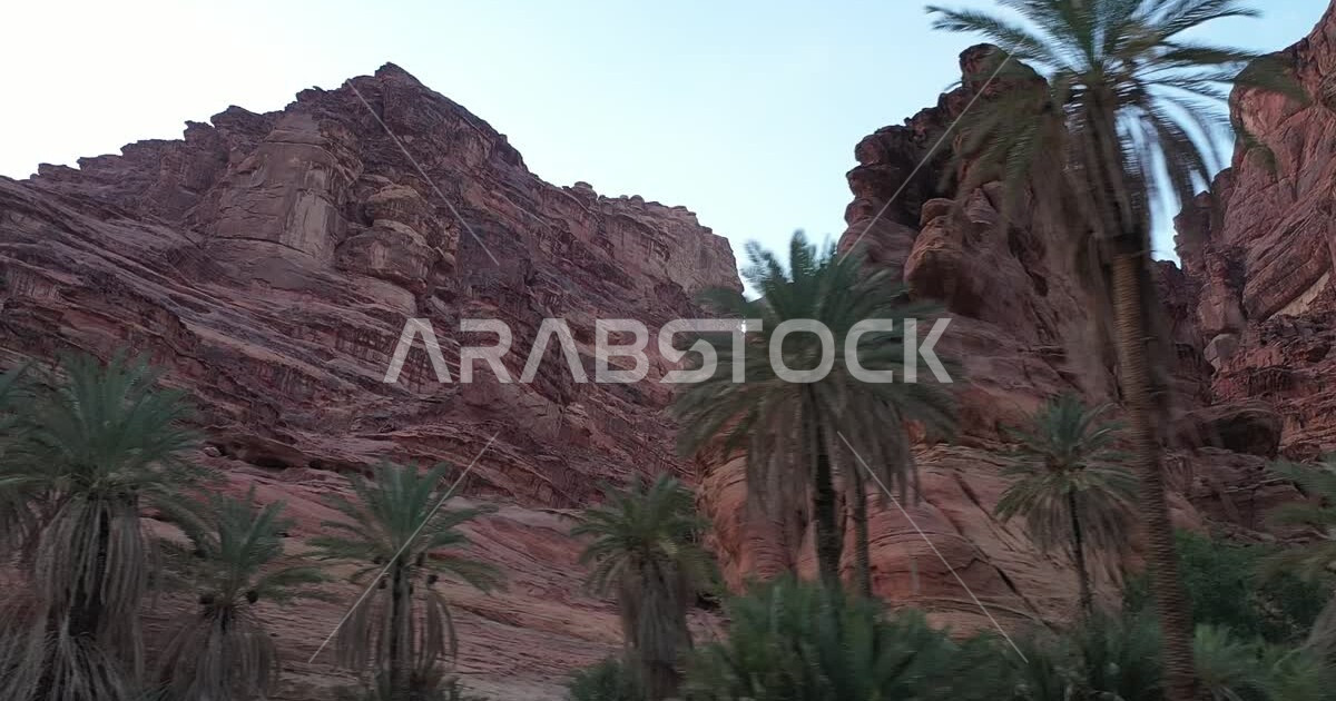 Green palm trees, mountain peaks and heights in Tabuk in the Kingdom of ...