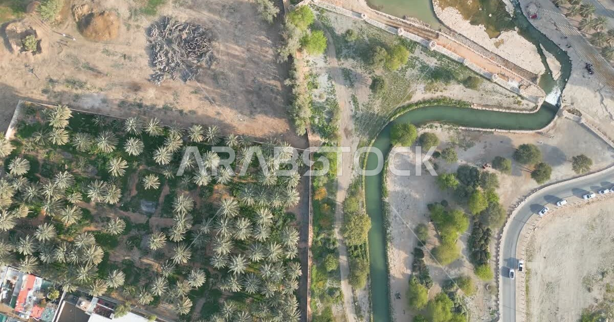 Afforestation in the city of Riyadh in the Kingdom of Saudi Arabia ...