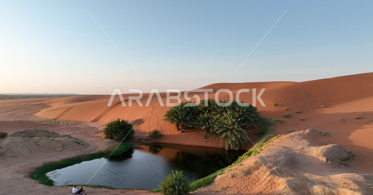 Cultivation of green palm trees, close-up of Brodan Oasis in the Najd ...