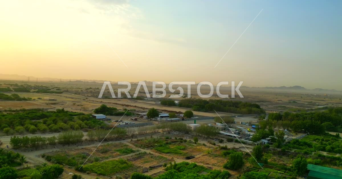 Drone photography of crops and agricultural lands in the Kingdom of ...