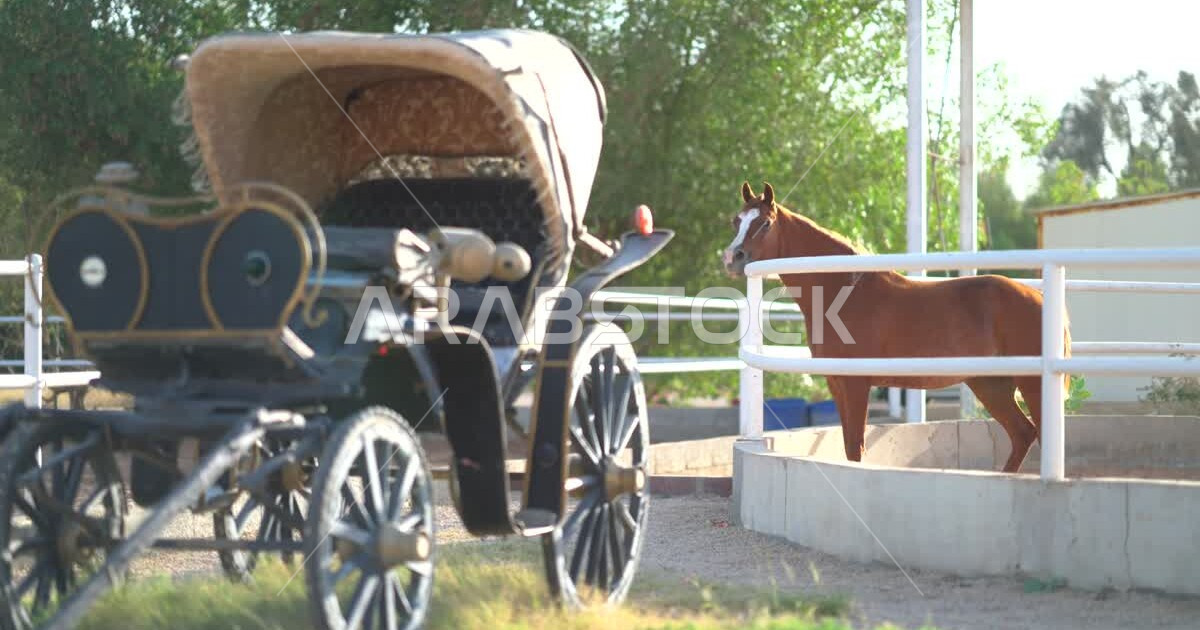An old-fashioned horse carriage, ancient means of transportation, the ...