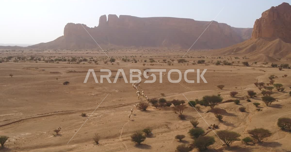 The edge of the end of the world in Qiddiya in Saudi Arabia, natural ...