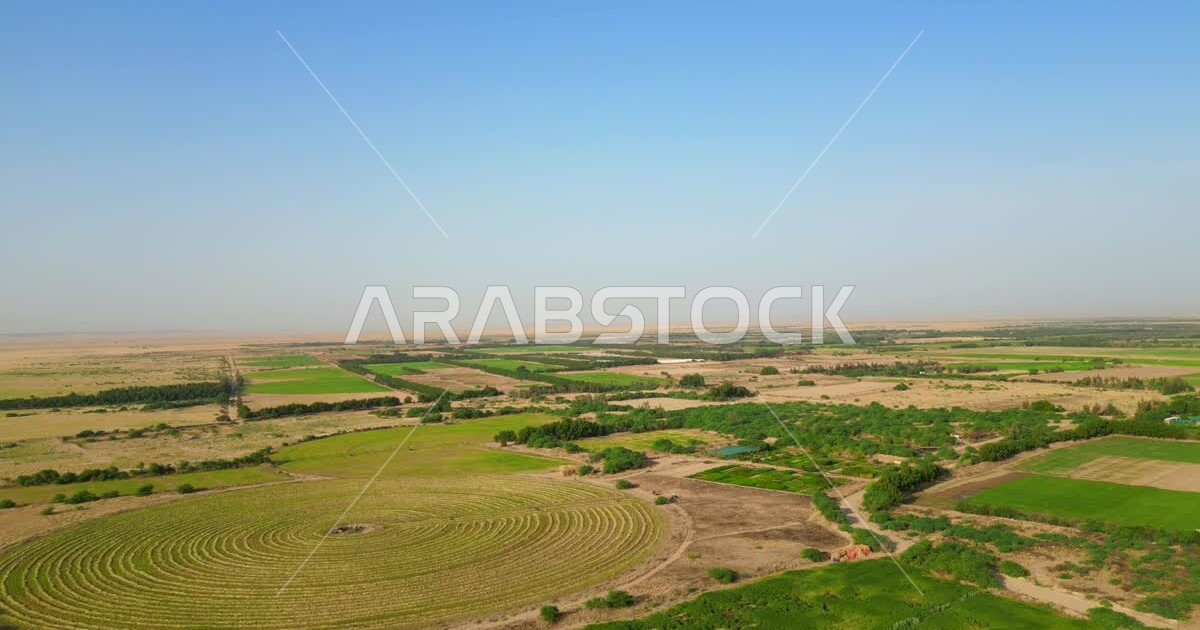 Cultivation of green natural trees and plants, drone imaging of ...