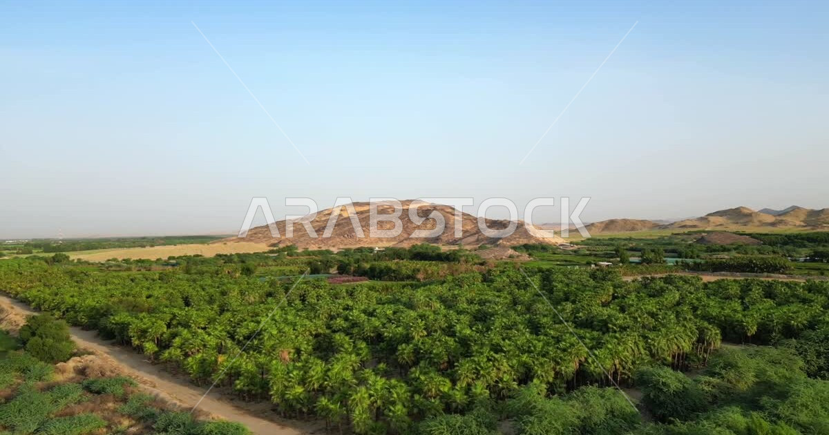 Drone photography of agricultural fields in large areas in the Kingdom ...