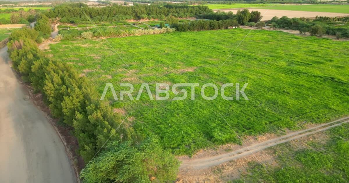Drone photography of agricultural fields in large areas in the Kingdom ...