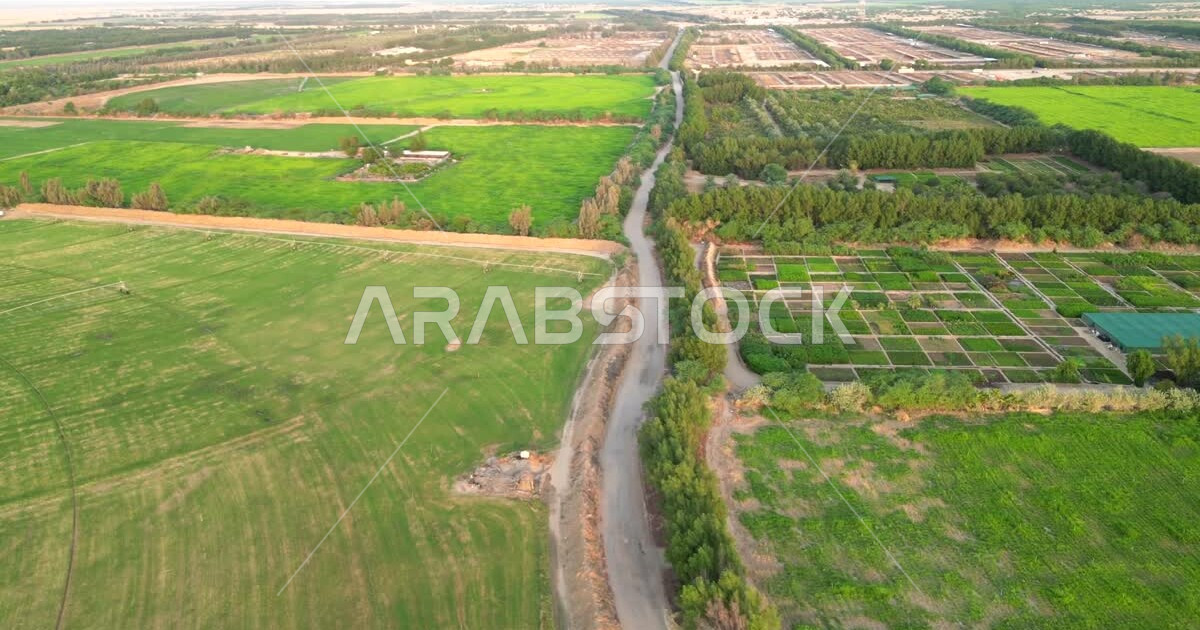 Environmental development and the agricultural sector, drone ...