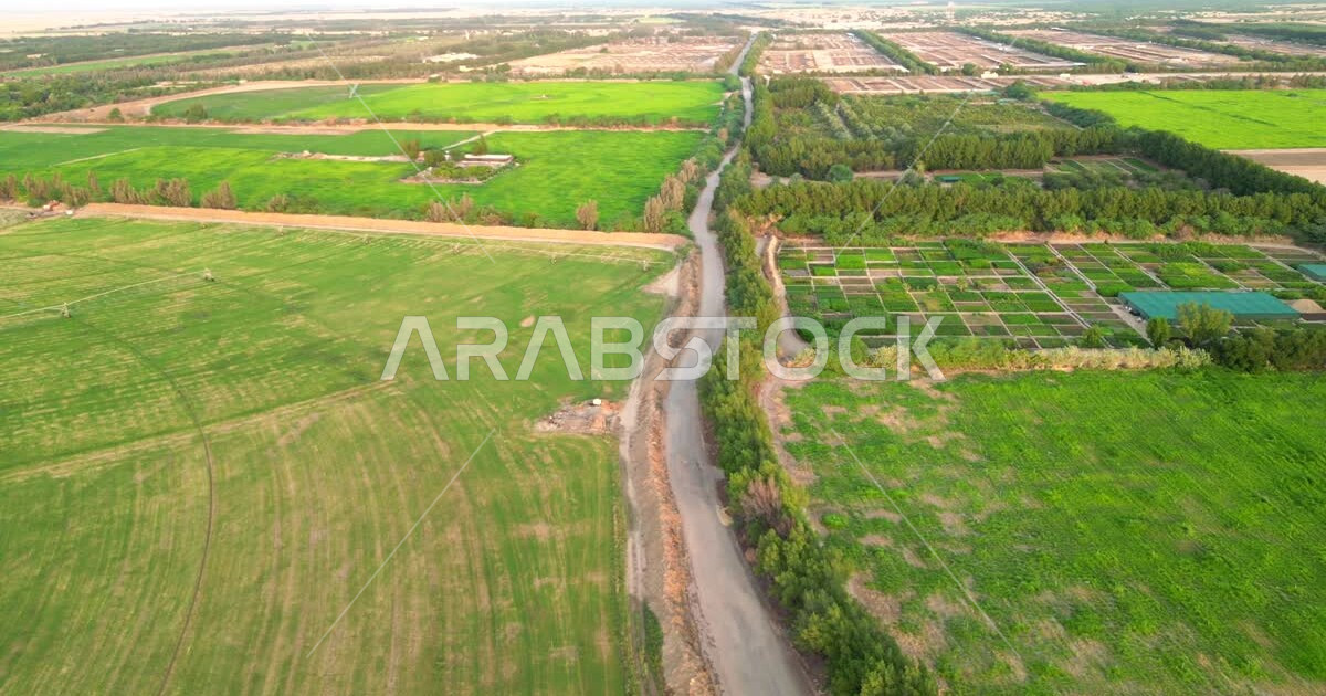 Environmental development and the agricultural sector, drone ...