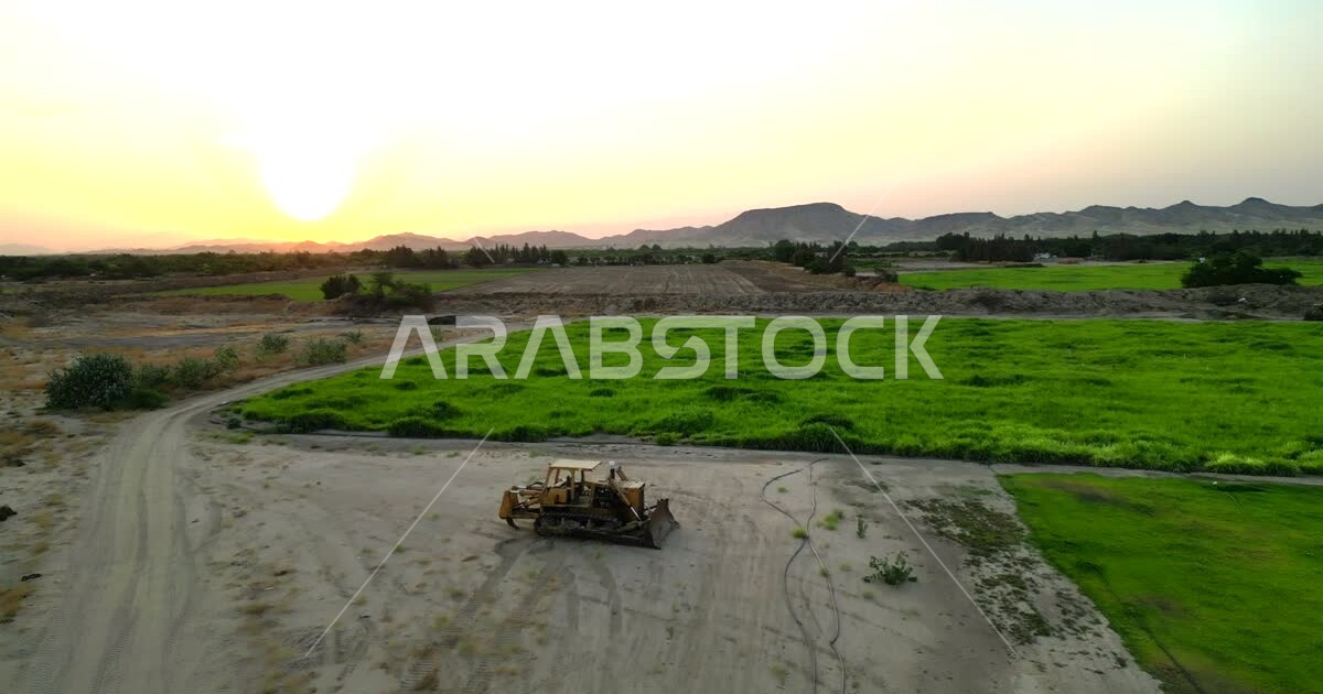 Crops and green agricultural lands in Saudi Arabia, planting trees and ...