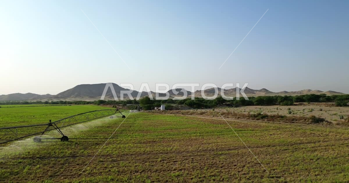 The use of pivot irrigation arms in the development of the environment ...