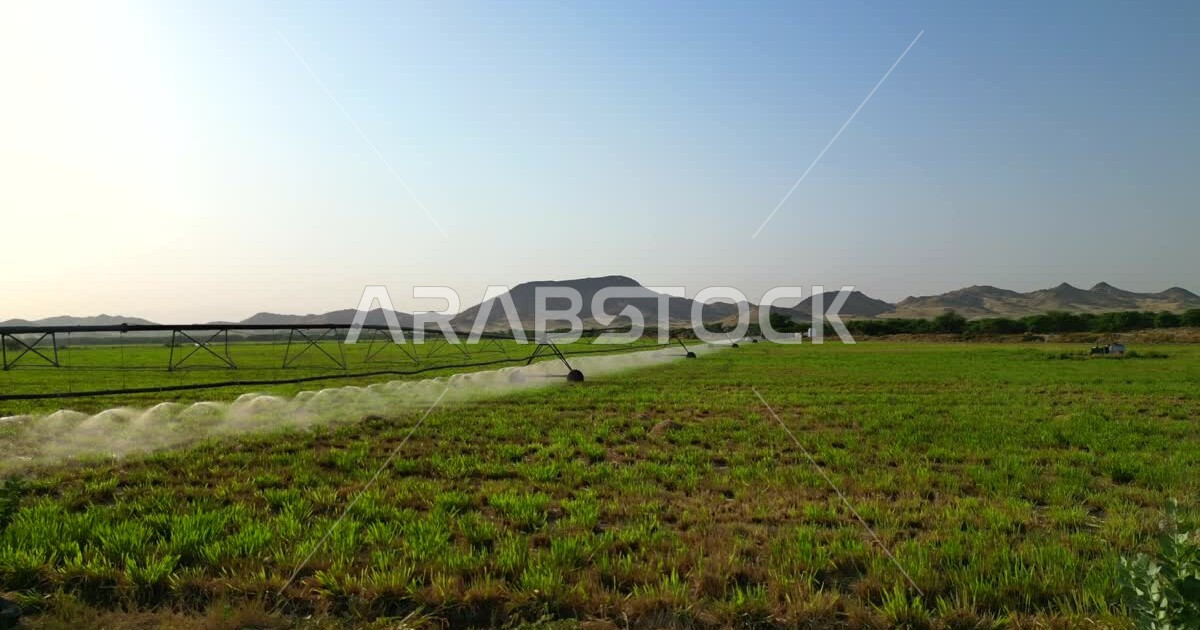 Cultivation of green natural trees and plants, the use of pivot ...