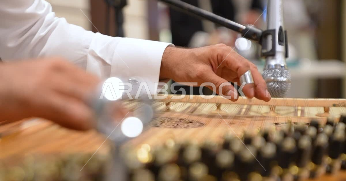 Practicing the hobby of playing the zither, a close-up depiction of the ...