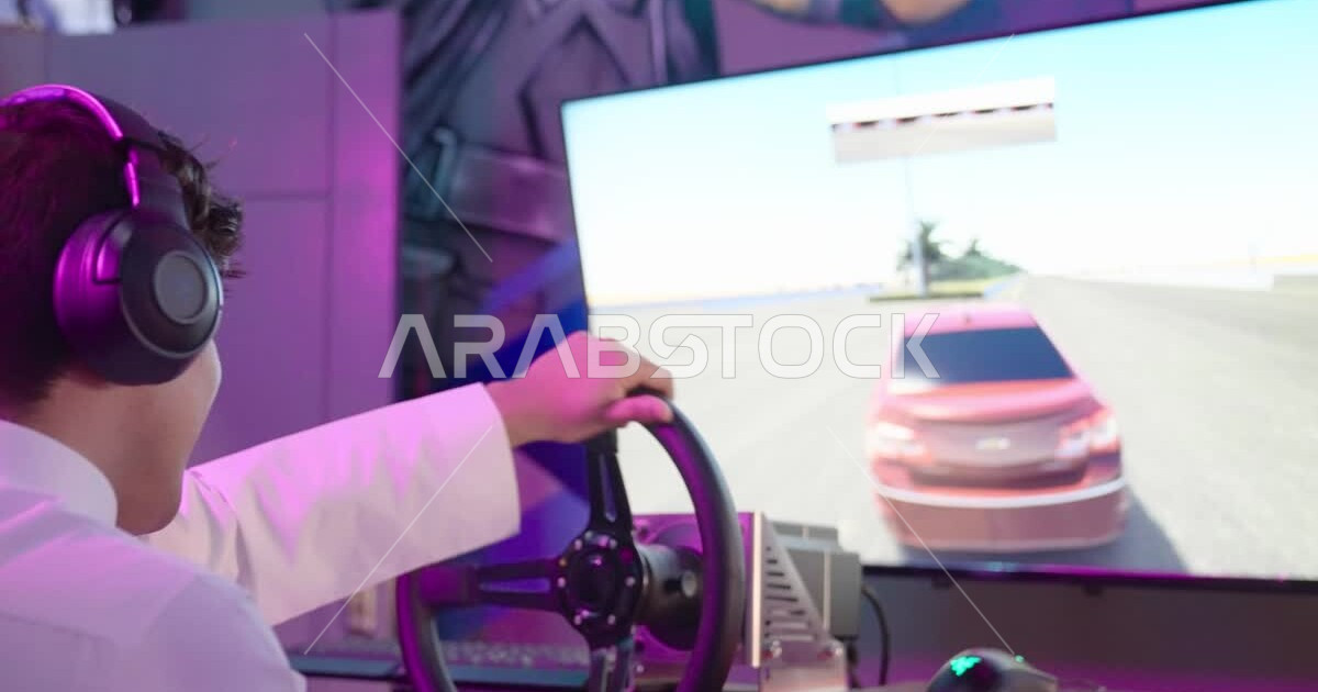 Simulation of driving cars and interacting with video games with ...