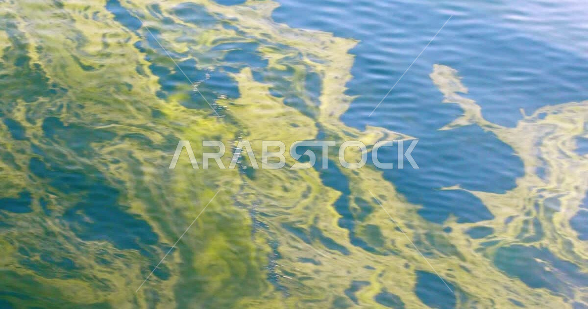 Drone photography of polluted seas and oceans, environmental damage in ...