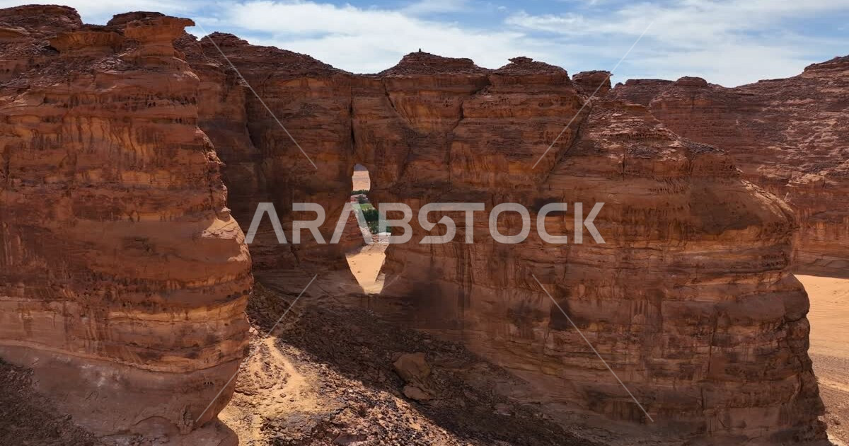 Interest in afforestation and cultivation of green plants in desert ...