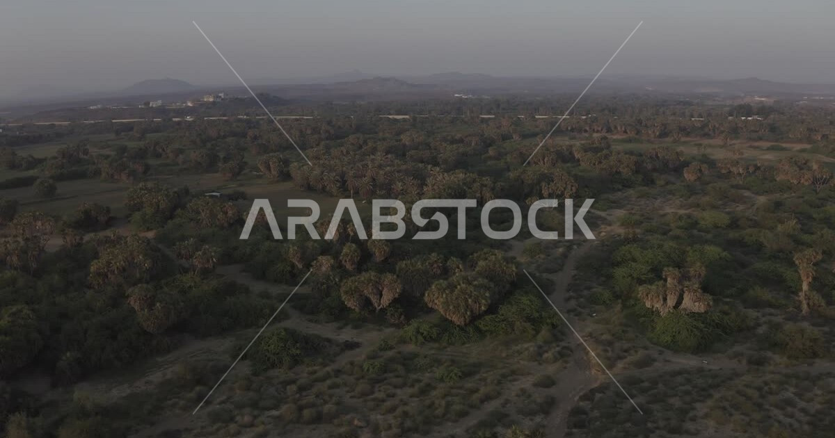 Interest in afforestation and agriculture, the view of trees and the ...