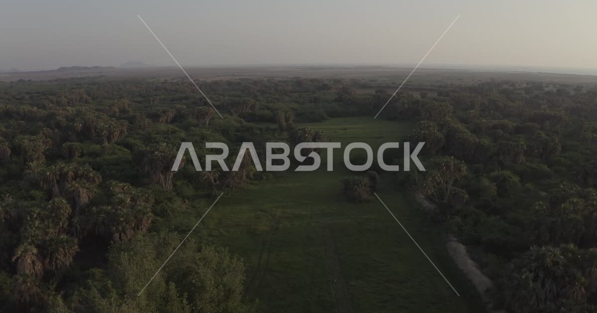 Preserving nature in the Kingdom of Saudi Arabia, drone photography of ...
