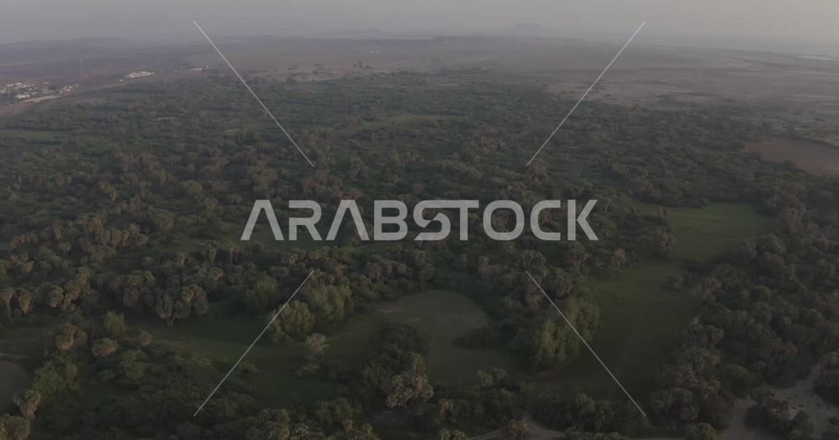 Tourist natural places, preserving nature in the Kingdom of Saudi ...