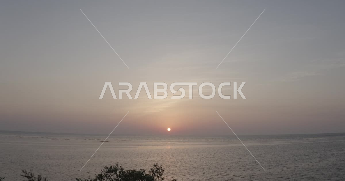 Preserving nature in the Kingdom of Saudi Arabia, the view of trees and ...