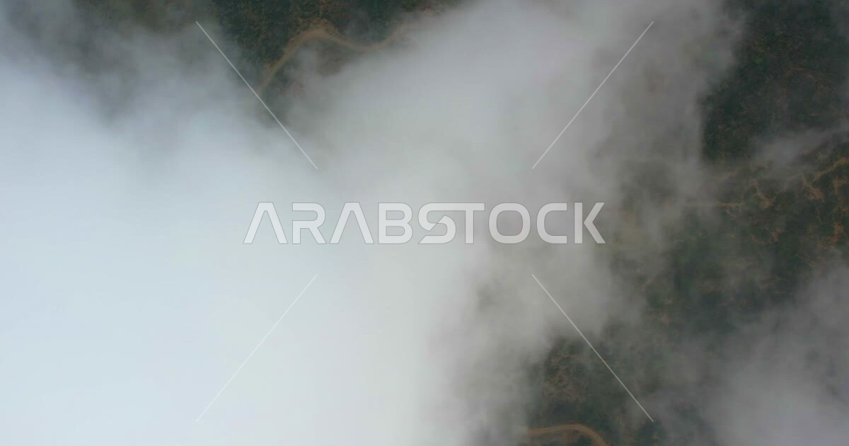 Drone photography of the Al-Souda Mountains in the city of Asir, trees ...