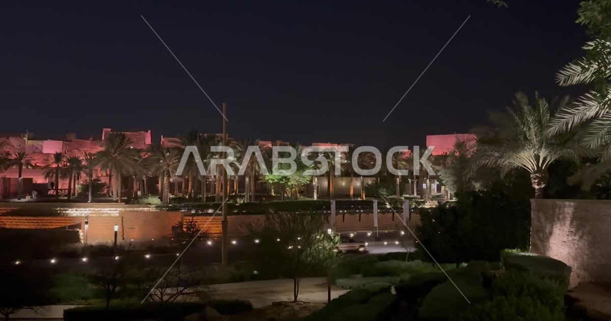 Green palm trees at night, drone photography of the ancient mud ...