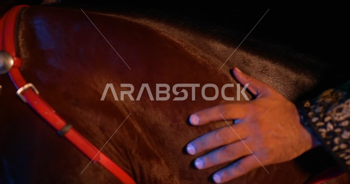 Following the traditions of the ancestors by taking care of horses and ...