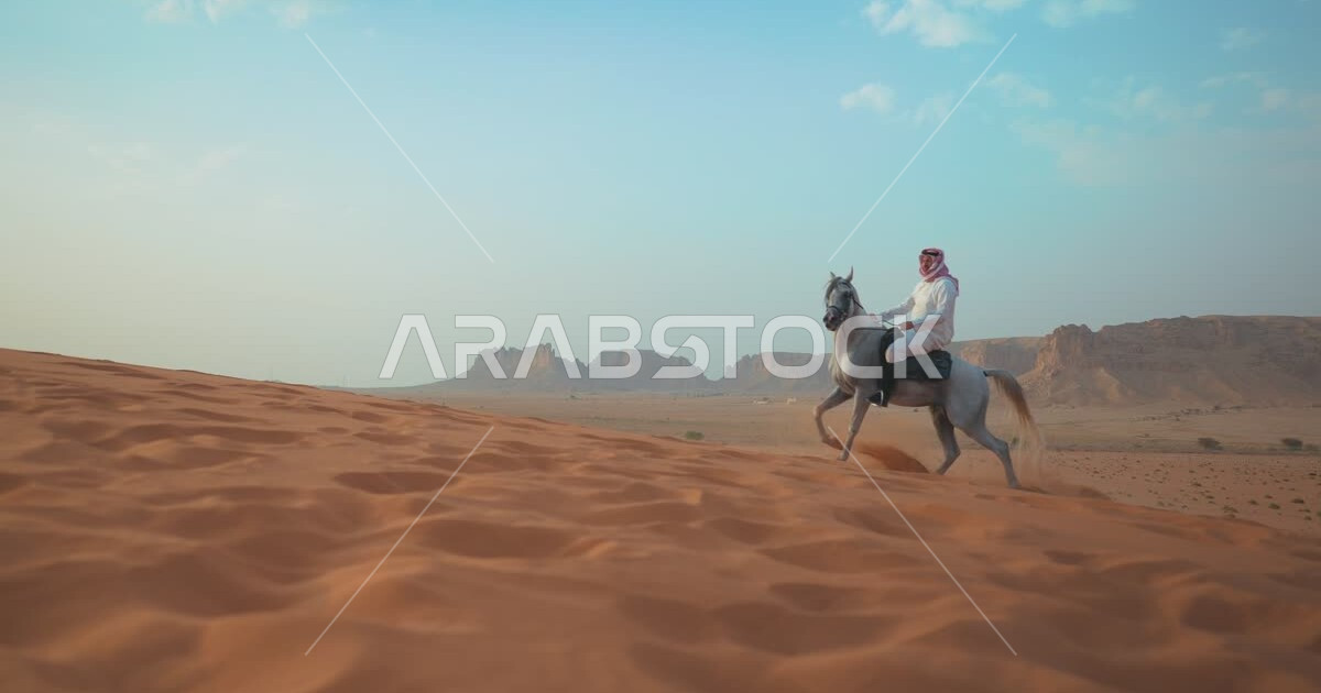 Fun activities and activities, enjoying the hobby of riding horses in ...