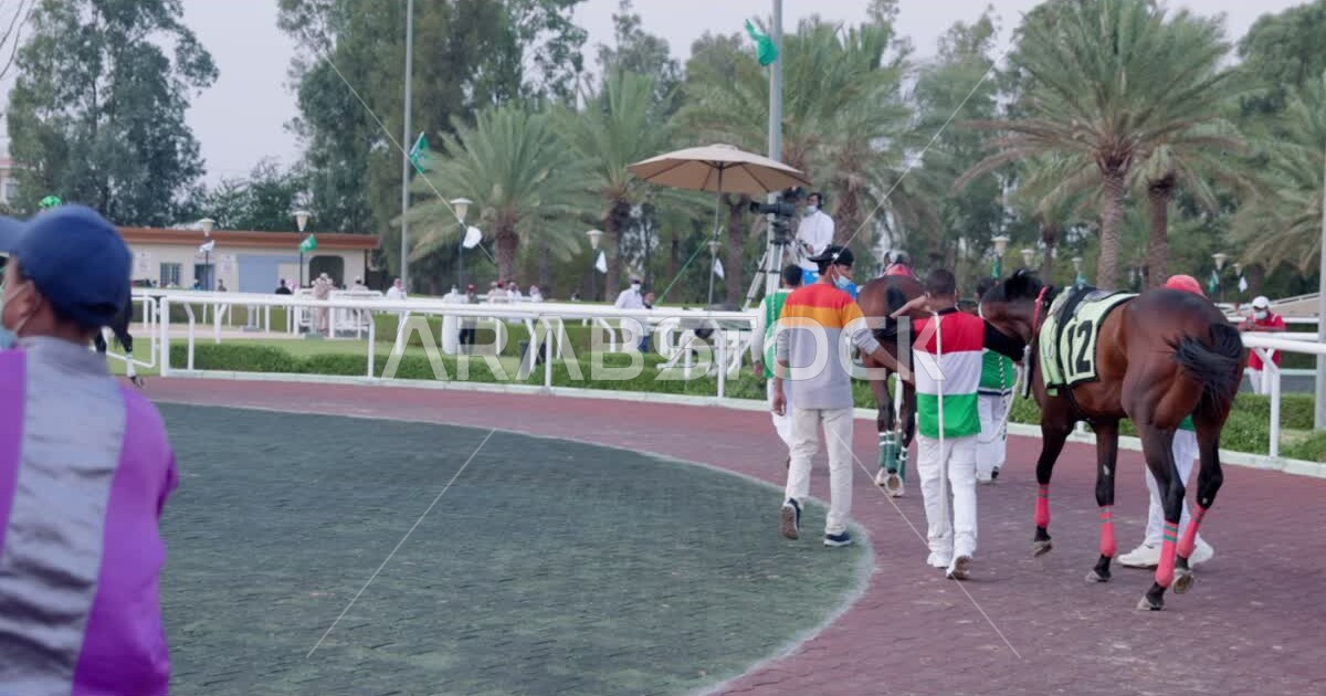 Equestrian racing club, equestrian training clubs in the Kingdom of ...