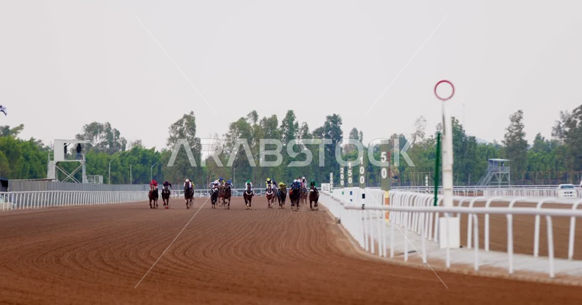 Equestrian training clubs in the Kingdom of Saudi Arabia, a group of ...