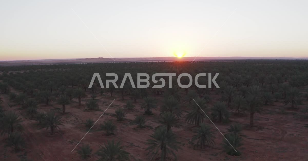 National local products and Saudi agricultural crops, natural areas and ...