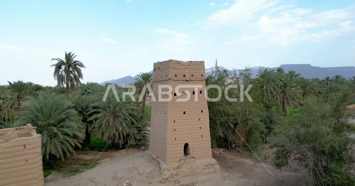 Natural highlands and mountains in broad daylight, planting palm trees ...