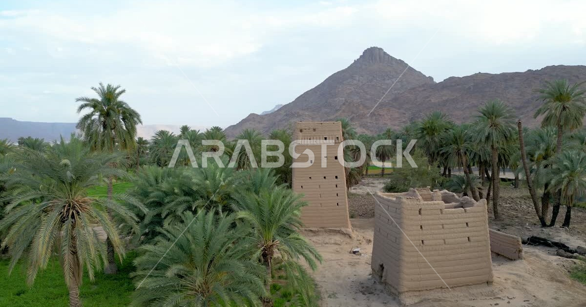 Natural highlands and mountains in broad daylight, planting palm trees ...