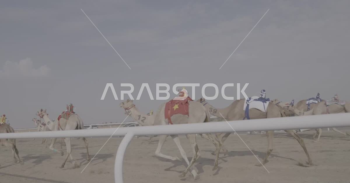 Traditional folk sports and activities, following the movements of ...