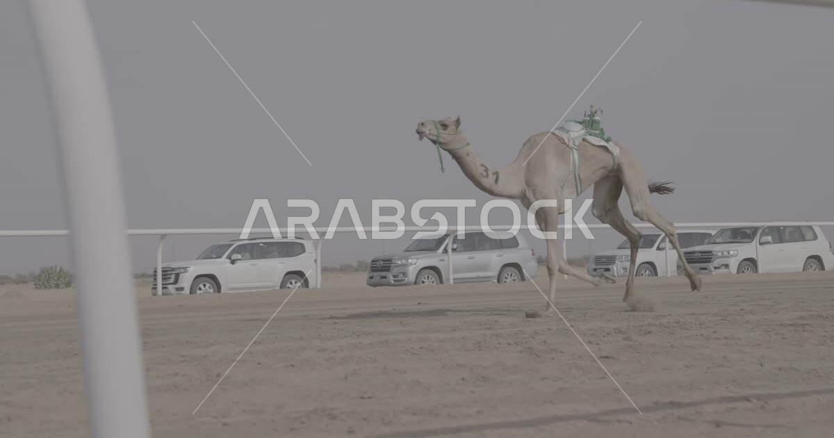 Traditional folk sports and activities, following the movements of ...