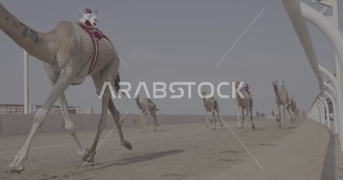 Practicing traditional popular sports and activities, competing and ...