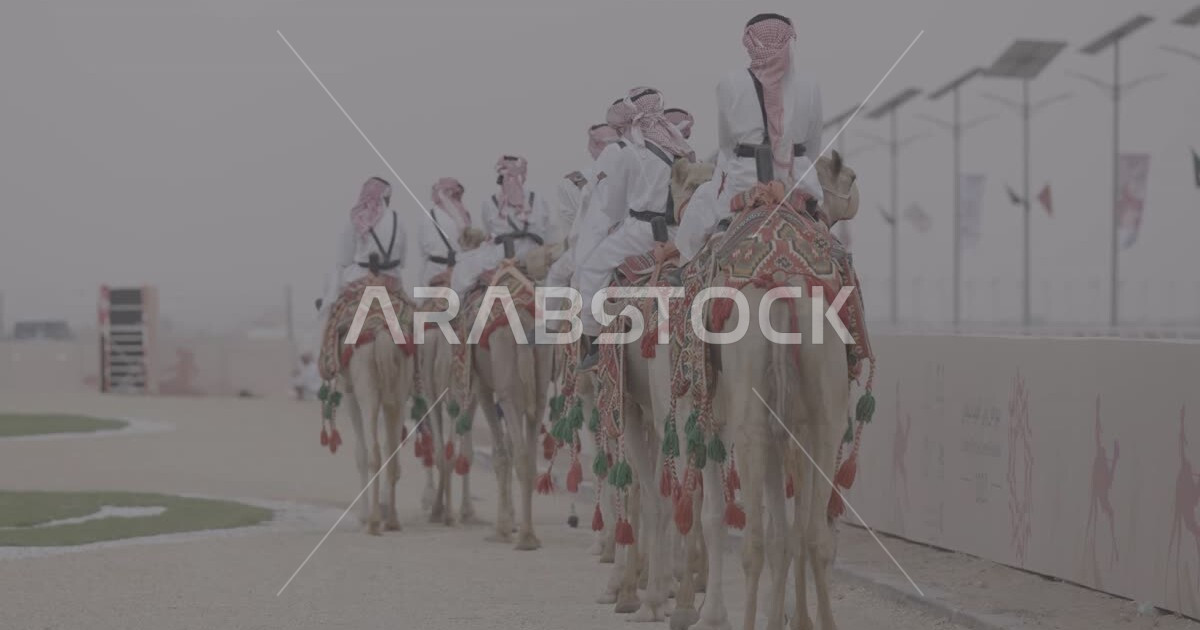 Practicing traditional folk hobbies and activities, preparing camels to ...
