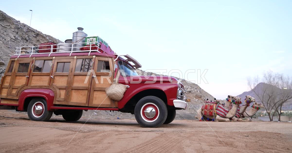Close-up photography of a red transport car and a group of camels in ...